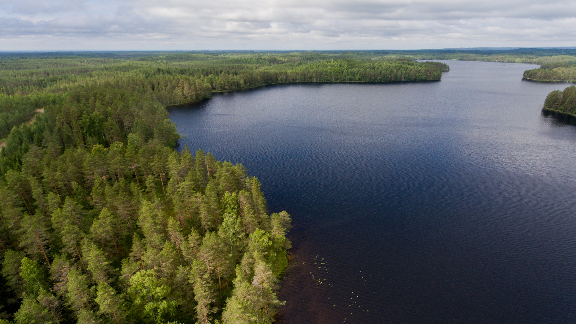 Kaunis rinnetontti hiekkapohjaisella rannalla | UPM Bonvesta