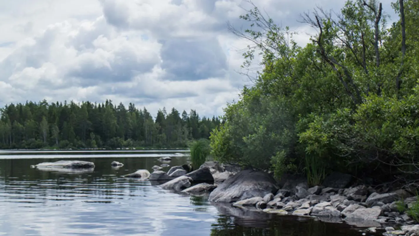 Karstula Pääjärvi Kortteli 1 Tontti 2 | UPM Bonvesta